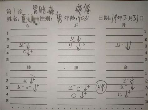 三九全景脉法传统脉法的复兴秉承药王脉学的理念 华夏中医论坛