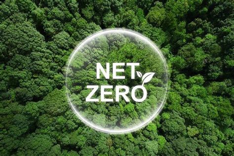 Potential Roadmap For Vietnam To Achieve Net Zero By 2050 Netzero Vn