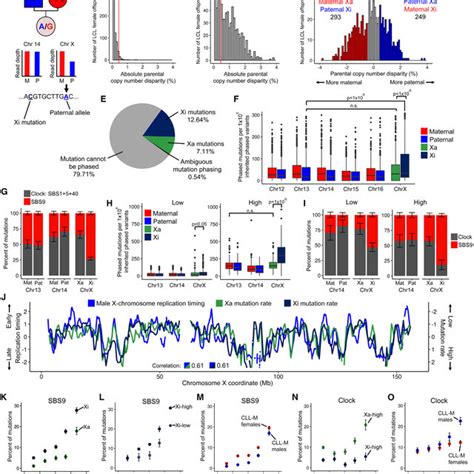 Unique Mutational Processes On The Xi Chromosome A Identification Of Download Scientific