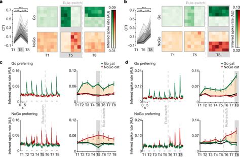 Mouse Prefrontal Cortex Represents Learned Rules For Categorization Pmc