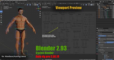 Male Base Complete 3d Model By Pradipta Male Base Complete 3d Model By Pradipta
