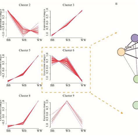 The Clustering Diagram Of Differentially Abundant Proteins Daps And Download Scientific