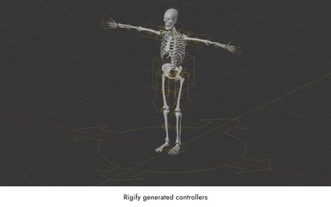 D Model Low Poly Rigged Male Skeleton VR AR Low Poly CGTrader