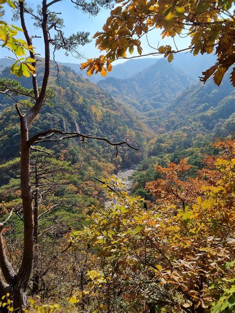 가을 하늘이 높고 푸른 이유