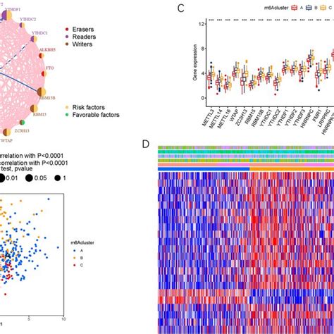 Characteristics Of M6a Modification Patterns In Tumor Somatic Mutation Download Scientific