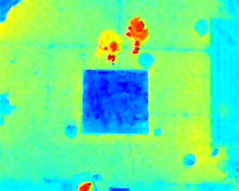 Forest Fire Detection Object Detection Dataset And Pre Trained Model By