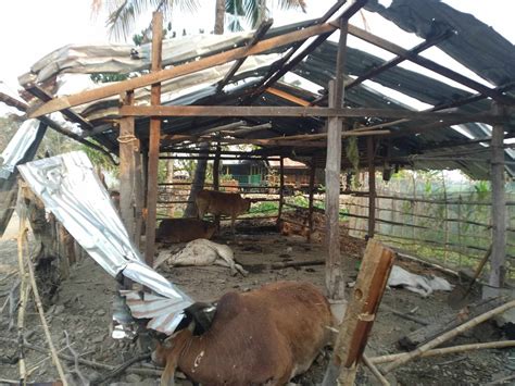 ကလေးမြို့နယ်၌ စစ်ကောင်စီ ပစ်ခတ်မှုများကြောင့် ၁လခန့်အတွင်း သေဆုံးသူအရပ်သား ၂၅ဦးထက်မနည်းရှိလာ