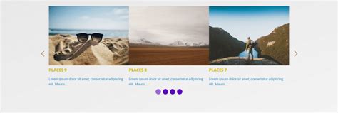 Divi Plugin Highlight Owl Carousel Pro