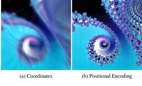 Understanding The Spectral Bias Of Coordinate Based Mlps Via Training Dynamics