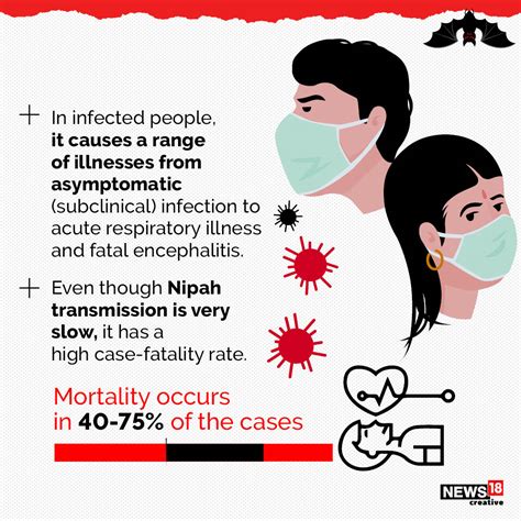 Nipah Fear Back Again From Symptoms To Transmission All You Need To Know About The Virus In
