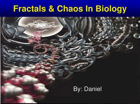 ppt fractals and chaos in biology powerpoint presentation free