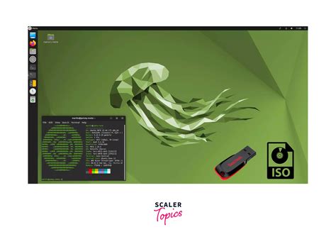 How To Burn An Iso File To A Usb Drive In Linux Scaler Topics