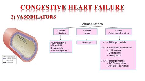 Chfcongestive Heart Failure Structural Functionalpptx