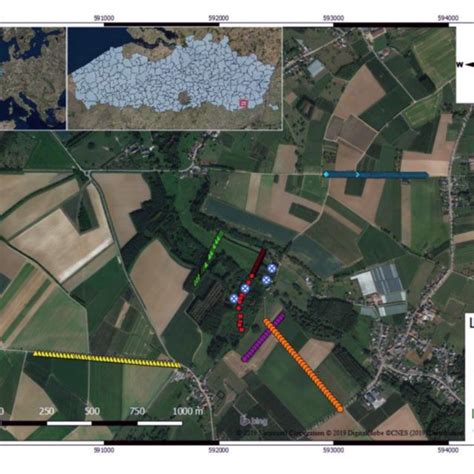 Location Of The Ert Profiles Download Scientific Diagram