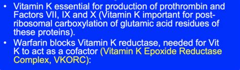 Anticoagulants Warfarin Flashcards Quizlet Anticoagulants Warfarin Flashcards Quizlet