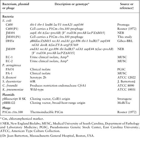 Table 1 From Development Of A P1 Phagemid System For The Delivery Of
