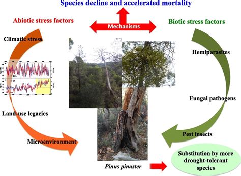 What Does Abiotic Mean Outlet
