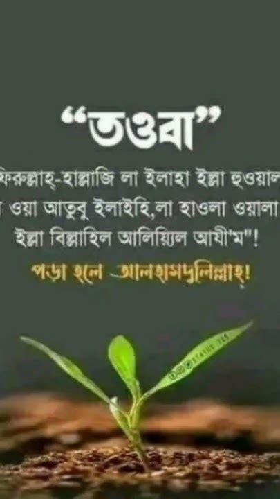 Shorts Eaningapp Youtube