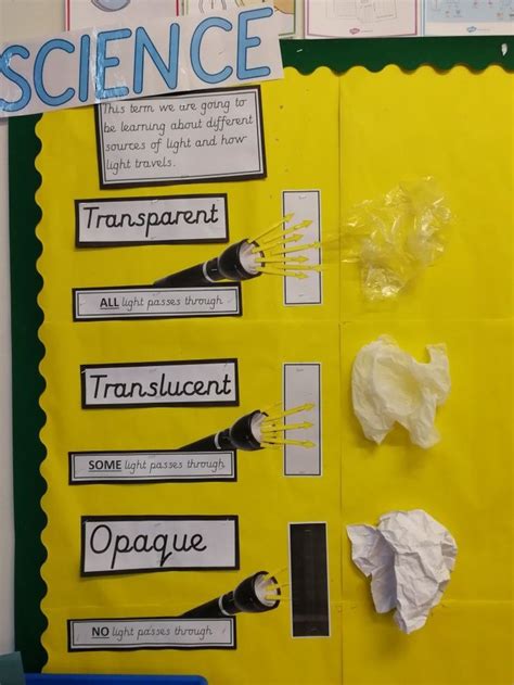 Science Display Ideas