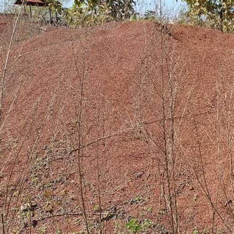 Iron Ore Grade Industrial At Best Price In Berhampore Bappa Enterprise