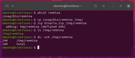 Localizar E Coletar Binários No Linux