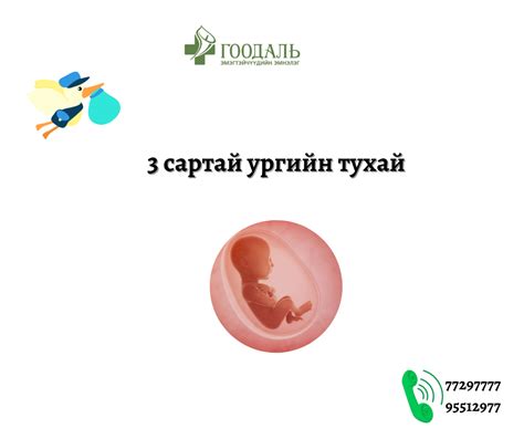 Гоодаль Эмнэлэг 😍 3 сартай үед 🩺 Ургийн зүрхний цохилт