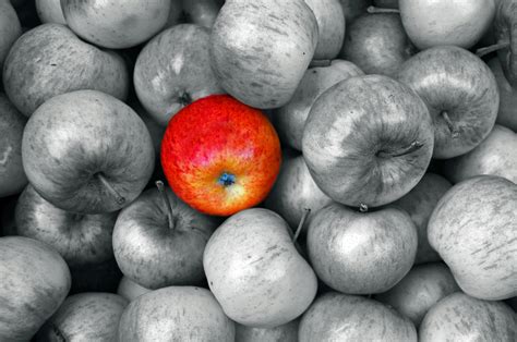 Red Apple Free Stock Photo - Public Domain Pictures