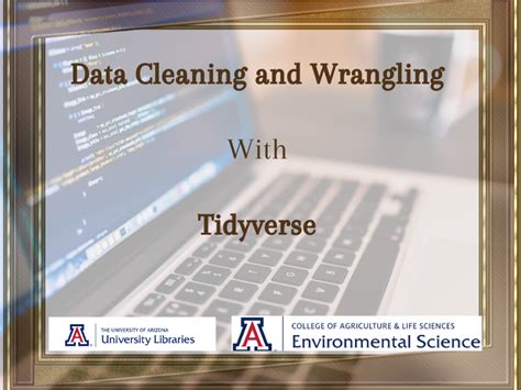 R Basics Data Cleaning And Wrangling With Tidyverse Oer Commons