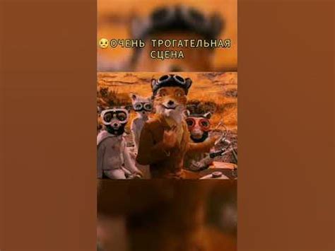 Roald Dahl: Fantastic Mr Fox (Потрясающий Мистер Лис) #топ#мистерфокс# ...