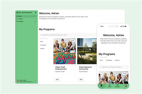 Free Non Profit Program Management Template