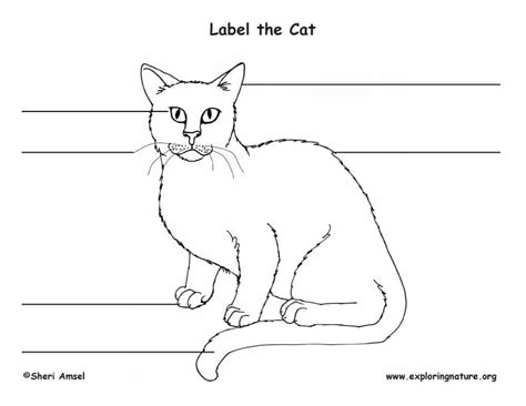 Cat Labeling Page Exploring Nature