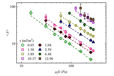 The Average Particle Number Per Agglomerate At The Quasi Steady State