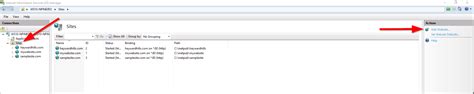 Self Hosting Multiple Websites In Iis