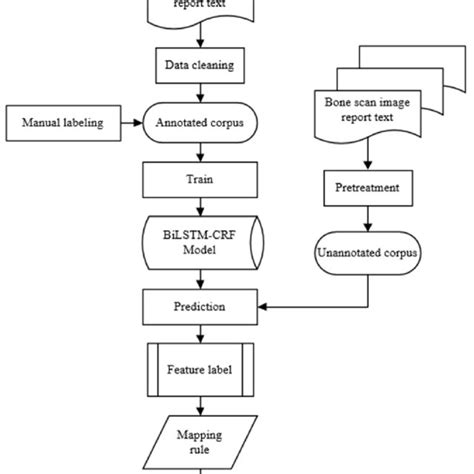 Structured Processing Flow Download Scientific Diagram