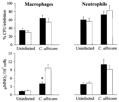 Antifungal Effector Functions Of Macrophages And Neutrophils From Download Scientific Diagram