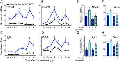 The Gh Induced Expression Of Jakstat Output Genes Is Enhanced In Klf13 Download Scientific