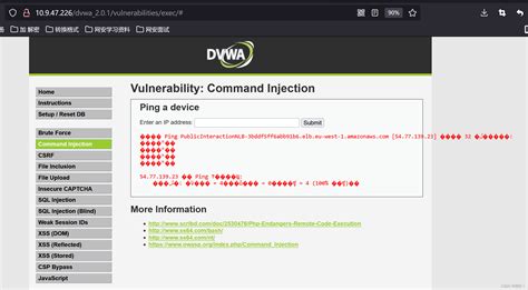 命令执行漏洞无回显如何渗透bp Collaborator Csdn博客