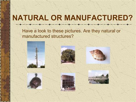 Structures Ppt
