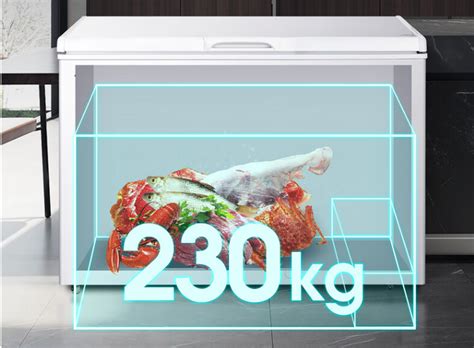 2024年冰柜推荐and容量200l、300l冰柜哪款好？ 知乎