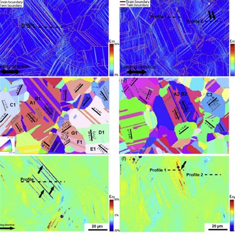 Neutron Diffraction Elastic Lattice Strain Evolution Under The Download Scientific Diagram