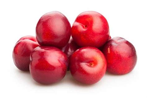 Why The Superior Plum Tree Is Superior Minneopa Orchards