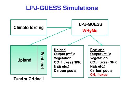 Ppt The Tundra Carbon Balance Some Recent Results With Lpj Guess Contributions Powerpoint