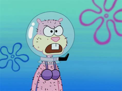 Funny Sandy Cheeks Pictures