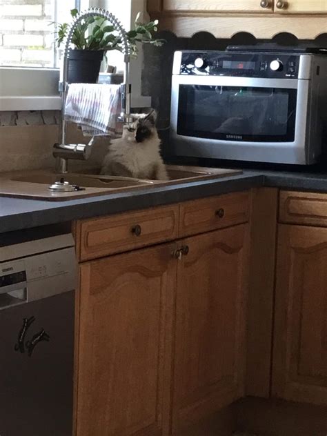 2161 Best Hot Mom Images On Pholder Amihot Pimp Your Mom For Karma