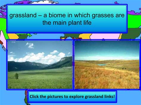 Chapter 6 Lesson 5 Biomes Pptx
