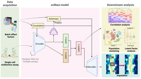 Altuna Akalin On Linkedin Singlecell Genomics Deeplearning