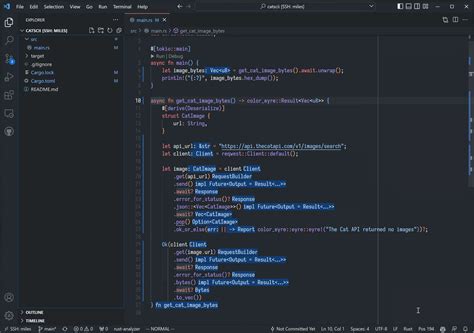 Inlay Hints In Async Method Chains Not Showing Consistently · Issue 10481 · Intellij Rust