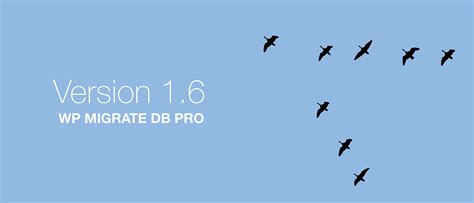 Wp Migrate Db Pro 16 Released