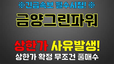 【금양그린파워】 긴급속보 필수시청 상한가 사유발생 Youtube