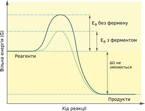 Download Energy Profile Reaction Pathwaywith Enzyme